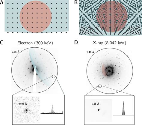 3d Vertex Model Assumption