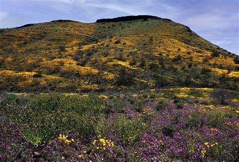 Peridot Mesa Az Focal World