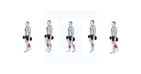 Standing Calf Raise Guide Benefits And Form