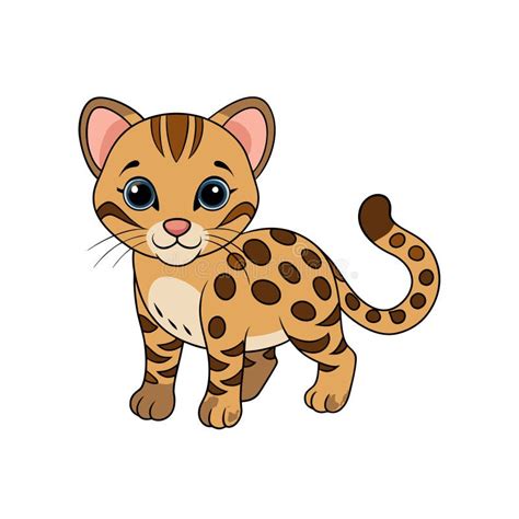 Margay Cub Stock Illustrations 6 Margay Cub Stock Illustrations