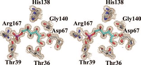 electron density at the active center of b subtilis nagb the reaction