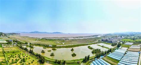 央媒带你畅游闽江河口湿地国家公园