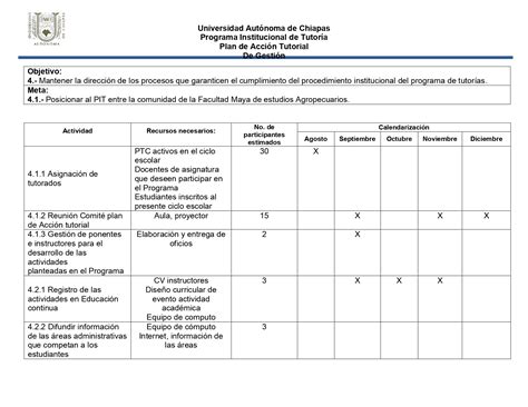Plan De AcciÓn Tutorial Agosto Diciembre 2022