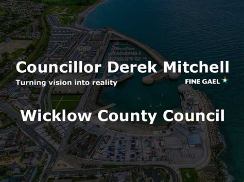 New Timetables Slow Dart Service Councillor Derek Mitchell