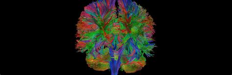 Network And Complexity Analysis Interdepartmental Graduate Program In