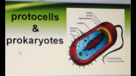 What Is Protocell Evolution Protocell To Prokaryote 10 1112th Biology Neet Youtube