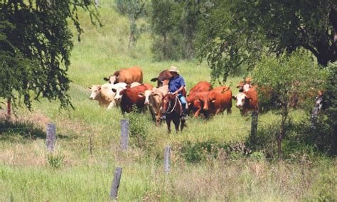 Wes Sue Presho Agsolutions