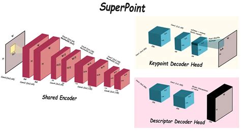 Object Tracking Object Detection Tracking Using Bytetrack By Atri