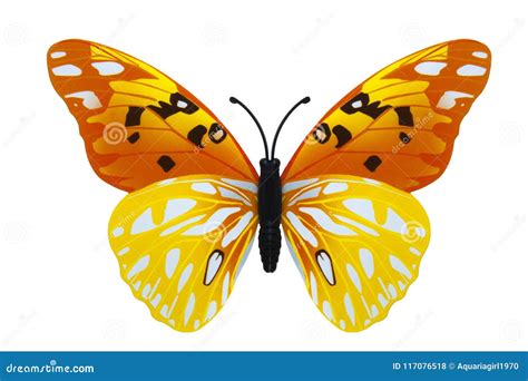 Mooie Gekleurde Vlinder Stock Illustratie Illustration Of
