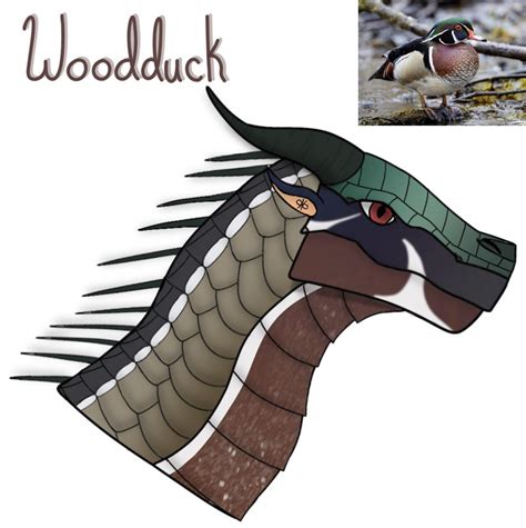 Mudwings But Theyre Ducks Ota Read Commemts Rwingsoffire