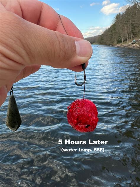 Carp Angler Sweet Strawberry Paste