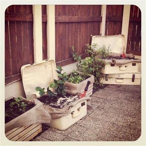 Inspiring Veggie Patch Ideas For Your Garden