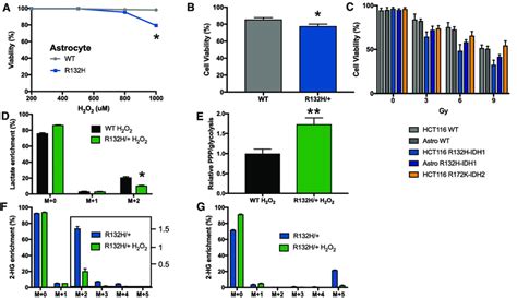 Effects Of Oxidative Stress On IDH And IDH Mutant Cells Download Scientific Diagram