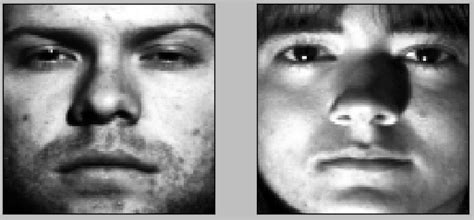 image processing svm for gender classification 100 correct results