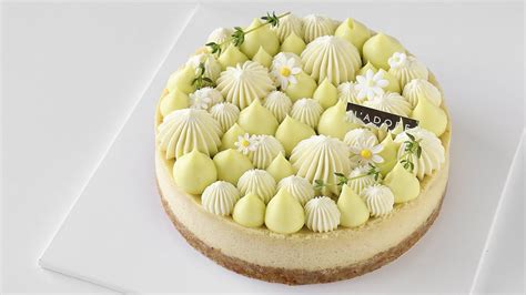 오랜만에 진짜 맛있는 라임치즈케이크 레시피💚🍋lime Cheesecake Youtube