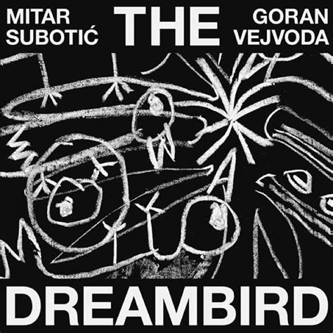 Mitar Subotić And Goran Vejvoda The Dreambird Serendeepity