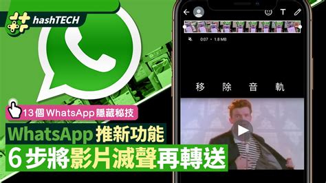 Whatsapp新功能｜6步學懂將影片聲音移除再傳送 附13大隱藏秘技