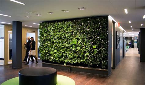 Газон в Ташкенте озеленение в Ташкенте ландшафтный дизайн в Ташкенте продажа и посадка газона в