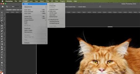 CMYK Vs RGB What S The Difference And Why Does It Matter