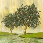 The Tree Of Life Biblical Insights On Eternal Life And God S Grace