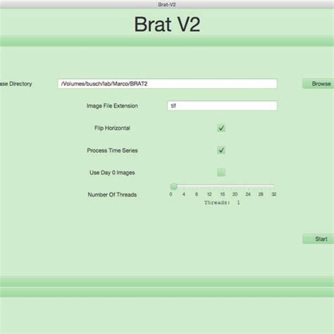 Brat V2 Segmentation Analysis Interface The Basics Tab Is Shown