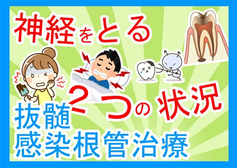 歯の知識神経をとる2つの状況抜髄感染根管治療 石渡歯科クリニック