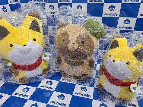 애니메이트 서울홍대점 On Twitter 【추천상품 너구리랑여우랑】 인기 코믹스 「너구리랑 여우랑」의 주인공🦝🦊 너구리와 여우의 쿠션 인형을 판매 중 💝 🍃