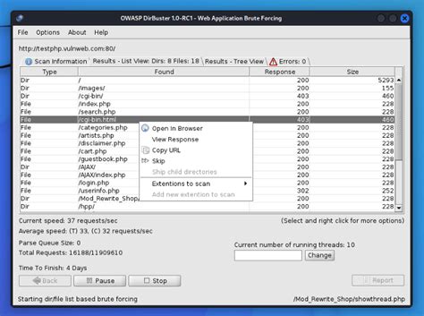 Перебор каталогов сайта на Kali Linux