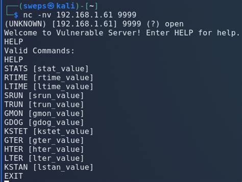 Windows Stack Based Buffer Overflow X86 Swepstopia