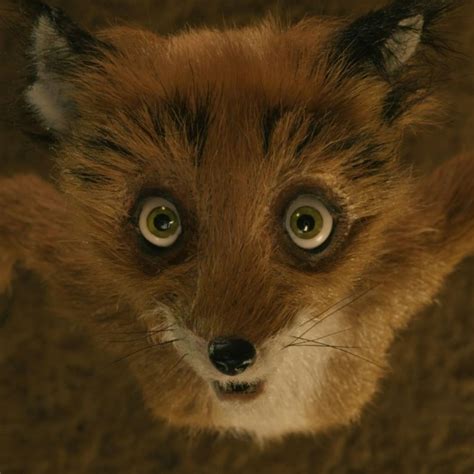 Ash Fox Fantastic Mr Fox Fantastic Fox Mr Fox