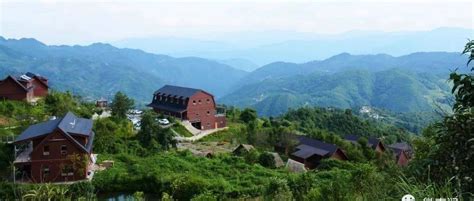 无量药谷开启职工疗休养之旅 南涧 活动 工作