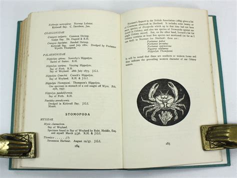 Orkney Shore Robert Rendall 1960 — Lanna Antique