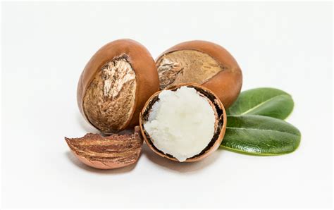 Shea Butter Benefits Dear Lilian