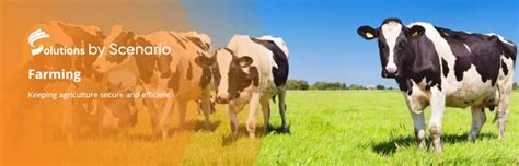 Agriculture Solution