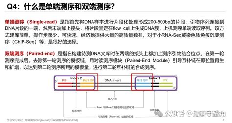 Ngs丨测序相关名词解释汇总 基础概念篇 知乎