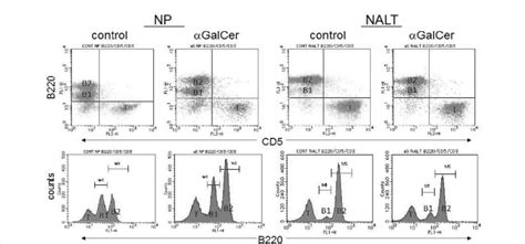 Flow Cytometry Of B Cells In Nalt And Np B220 High B 2 B Cells Were