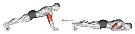 Push Up On Forearms Home Gym Review
