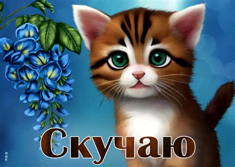 Совершенная открытка с котиком Скучаю Скачать бесплатно на