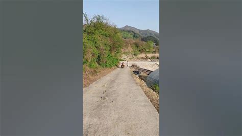 전기수쿠터 Youtube