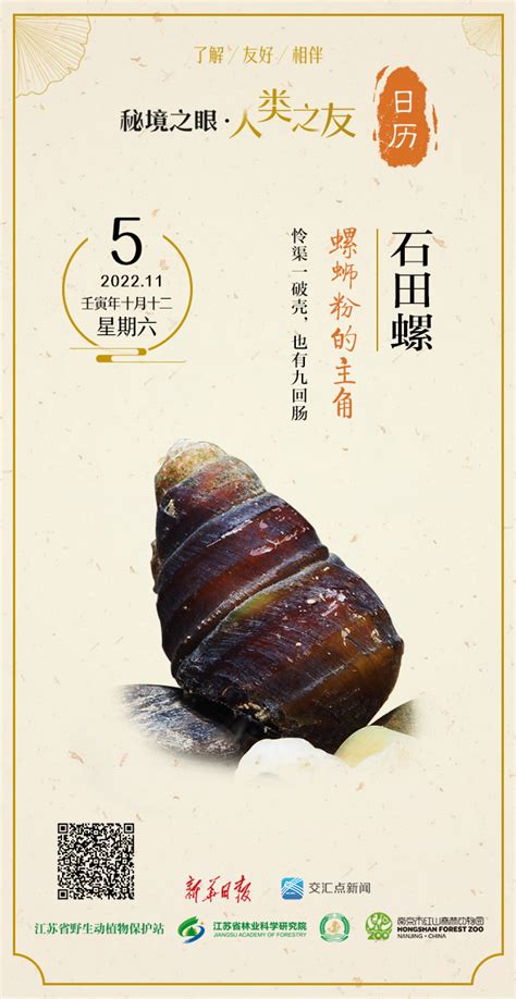 秘境之眼人类之友 日历石田螺螺蛳粉的主角 新华报业网