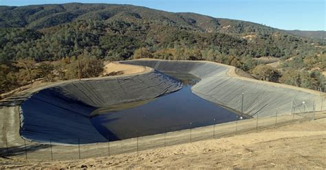 Lessons Learned From Wildlife Hazards Treatment Plant Operator