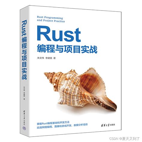 Rust编程语言的特点及其适合做什么rust语言 Csdn博客