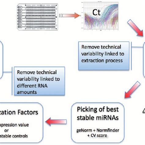 Pdf Normalization Of Circulating Microrna Expression Data Obtained By Quantitative Real Time