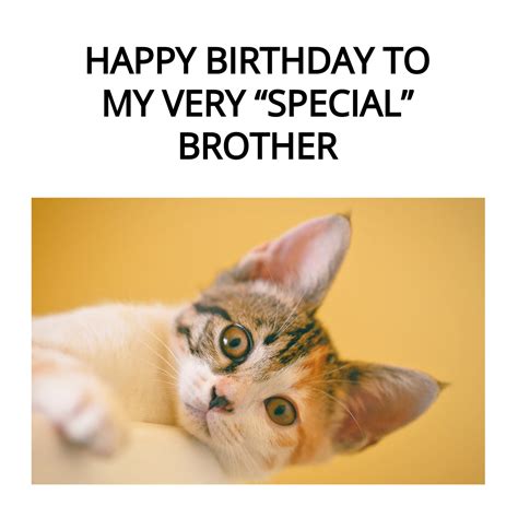 Funny Sister Memes
