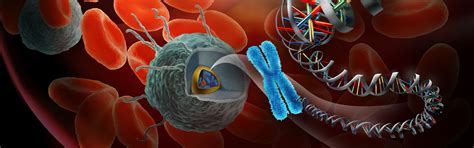 北京大学生物医学前沿创新中心