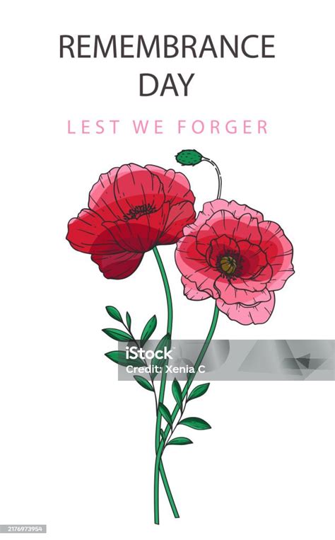 현충일 배너 템플릿 디자인입니다 우리가 잊지 않도록양귀비 꽃 벡터 일러스트 레이 션 붉은 양귀비 식물 배경입니다 손으로 그린 꽃 배경 템플릿입니다 양귀비 꽃다발 0명에 대한