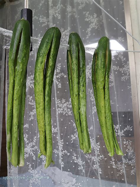 오이장아찌만드는법~ 간장안끓이는 오이장아찌