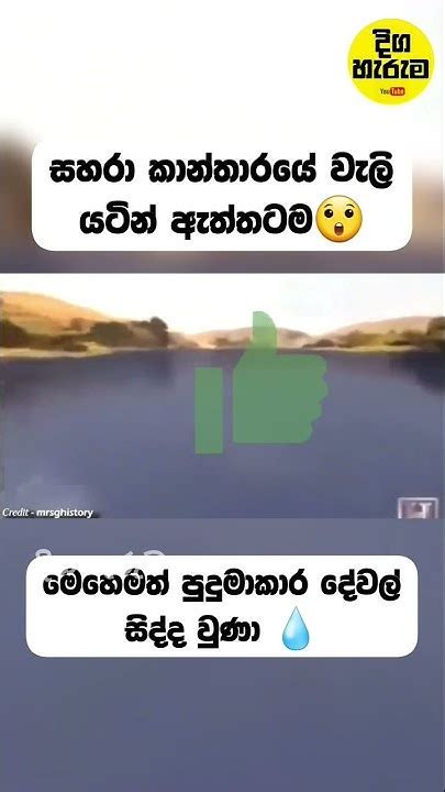 සහරා කාන්තාරයේ වැලියට සැගවුණු අභිරහස 😱 Youtube