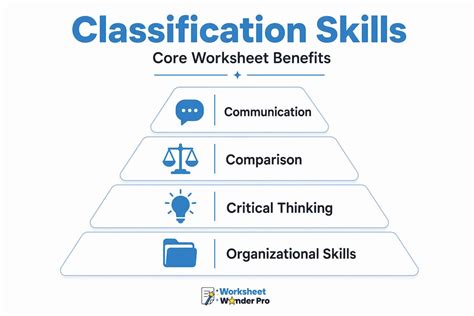 What Is A Classification Worksheet A Teachers Guide
