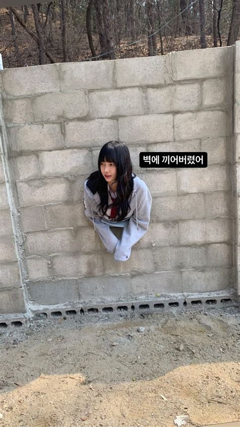 벽에 끼인 한때싶님 유저업로드 엠봉